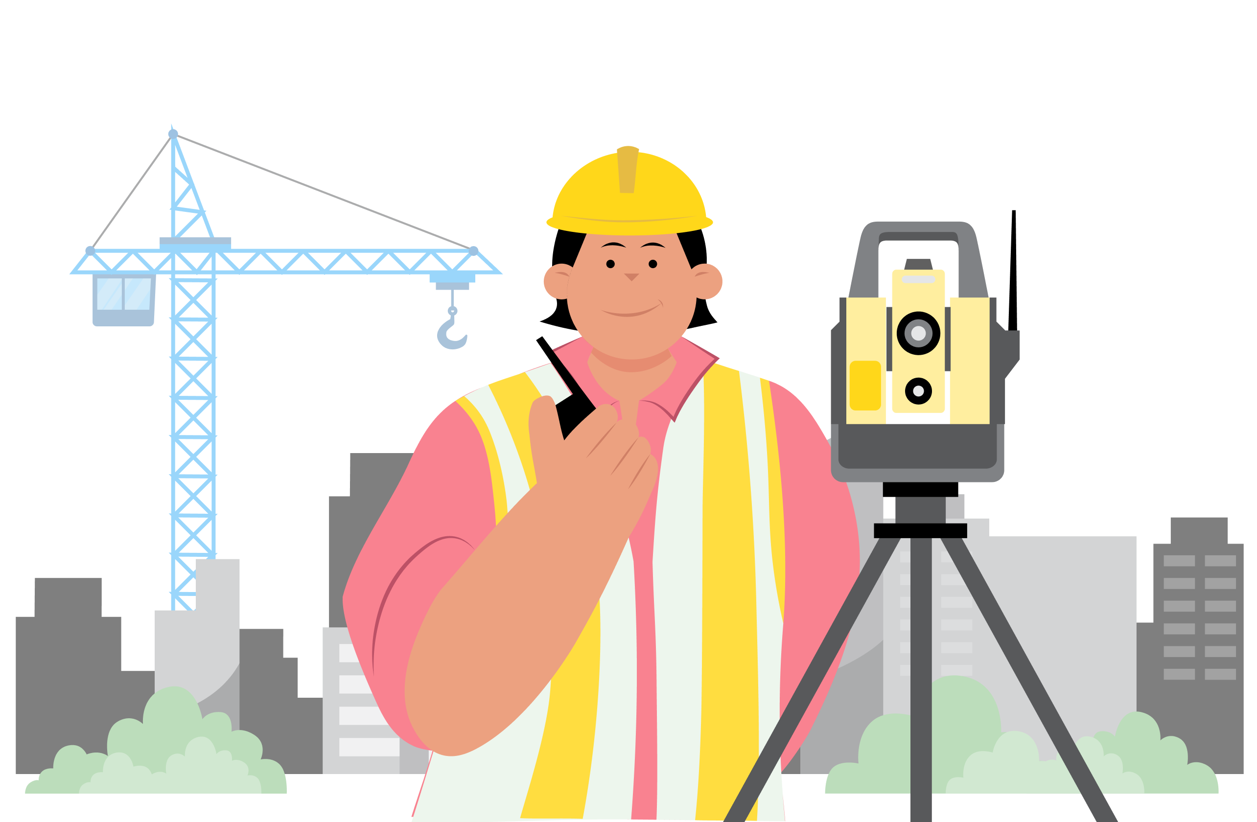 What You Need To Know About Surveyor